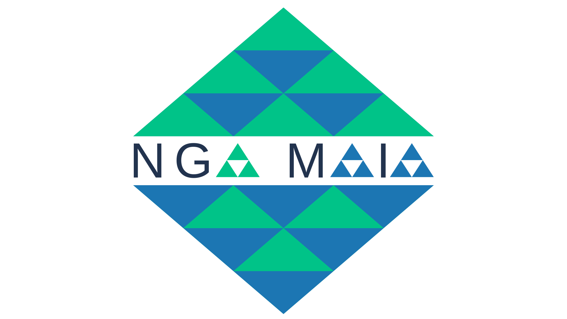 Ngā Maia | Tūranga Kaupapa